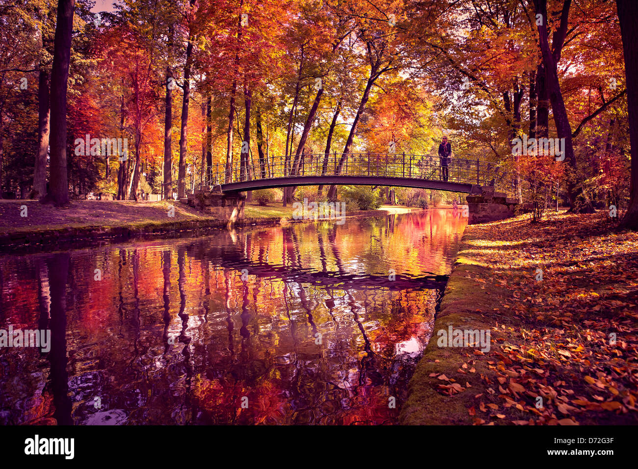 Old park in fall. Germany, Europe Stock Photo - Alamy