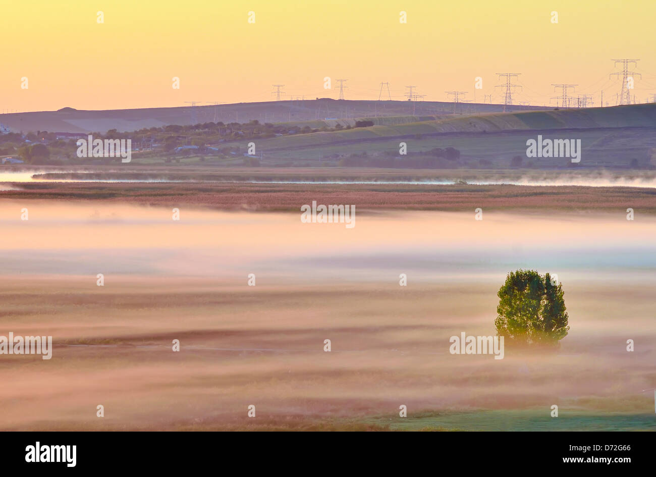 Misty morning maple trees hi-res stock photography and images - Alamy