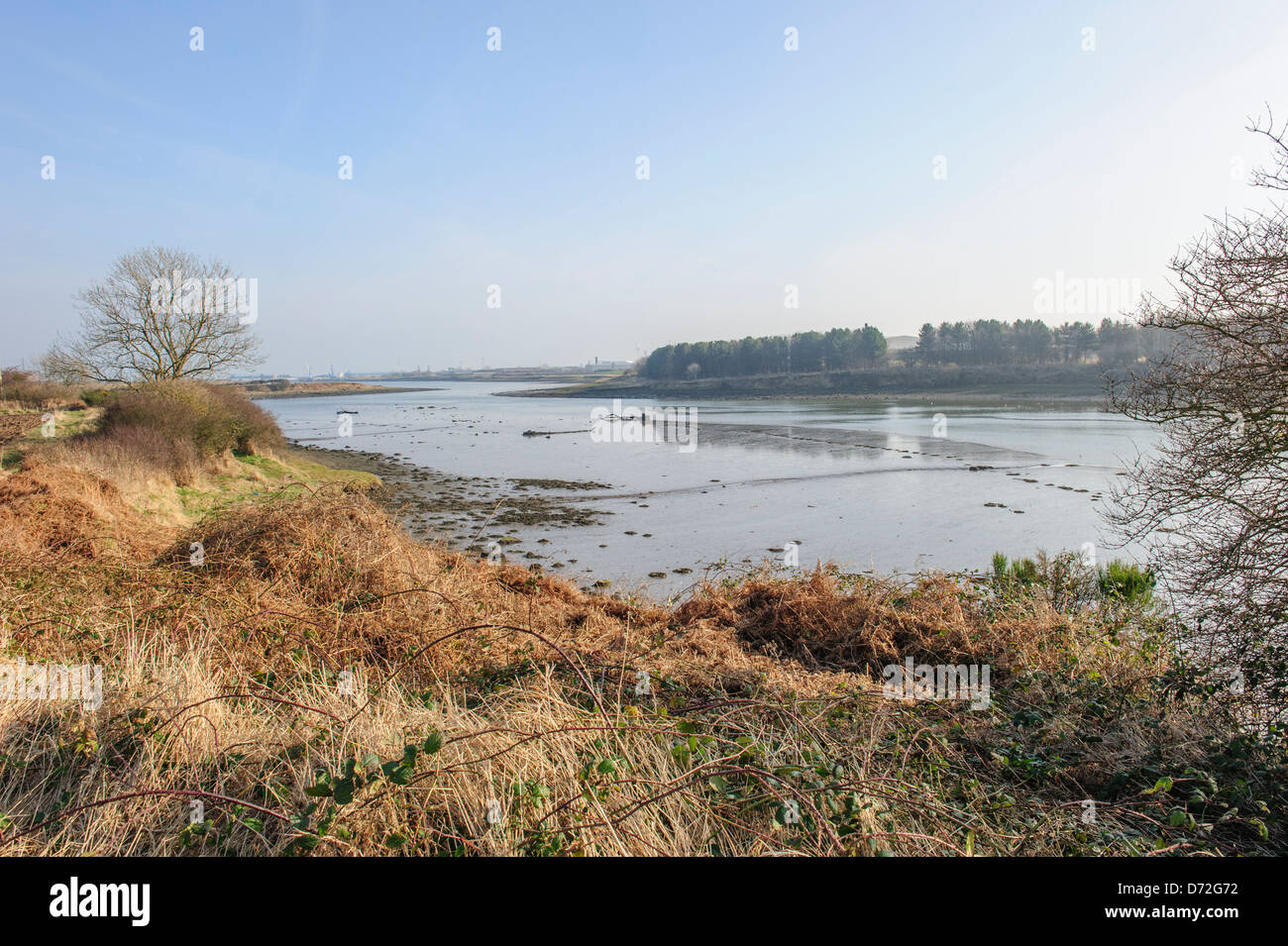River Blyth with mud flats Stock Photo - Alamy