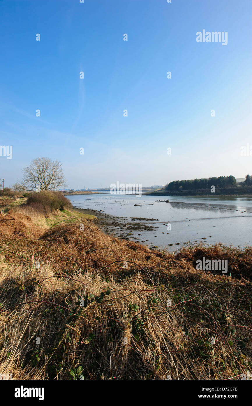 River Blyth mud flats Stock Photo - Alamy
