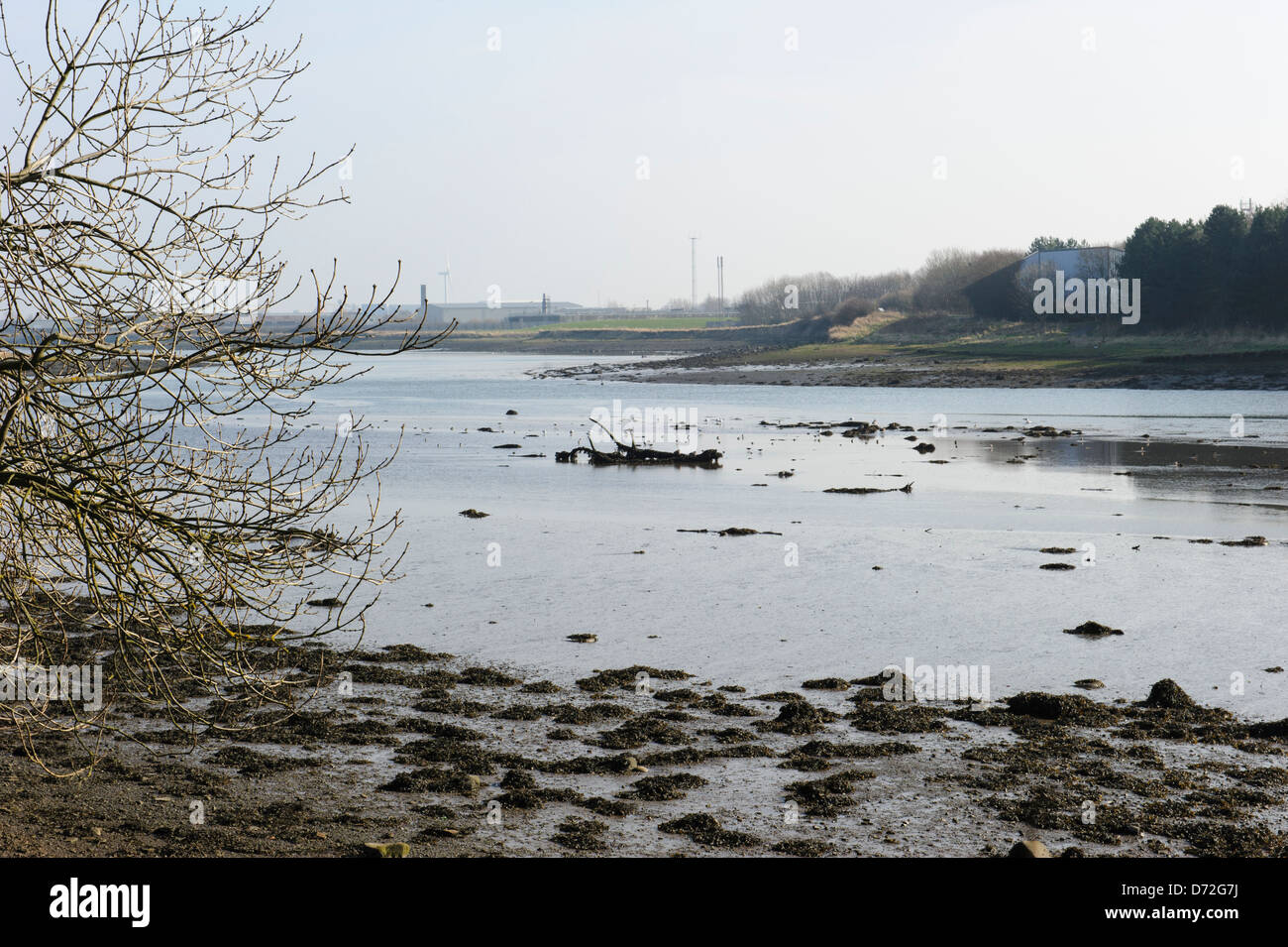 River of mud hi-res stock photography and images - Alamy