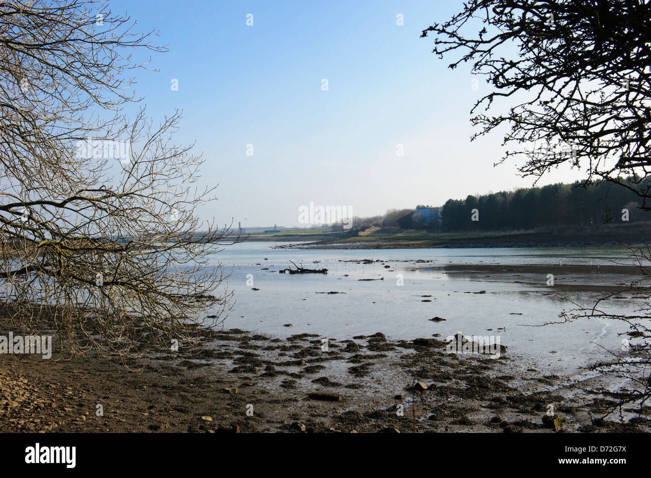River Blyth mud flats Stock Photo - Alamy