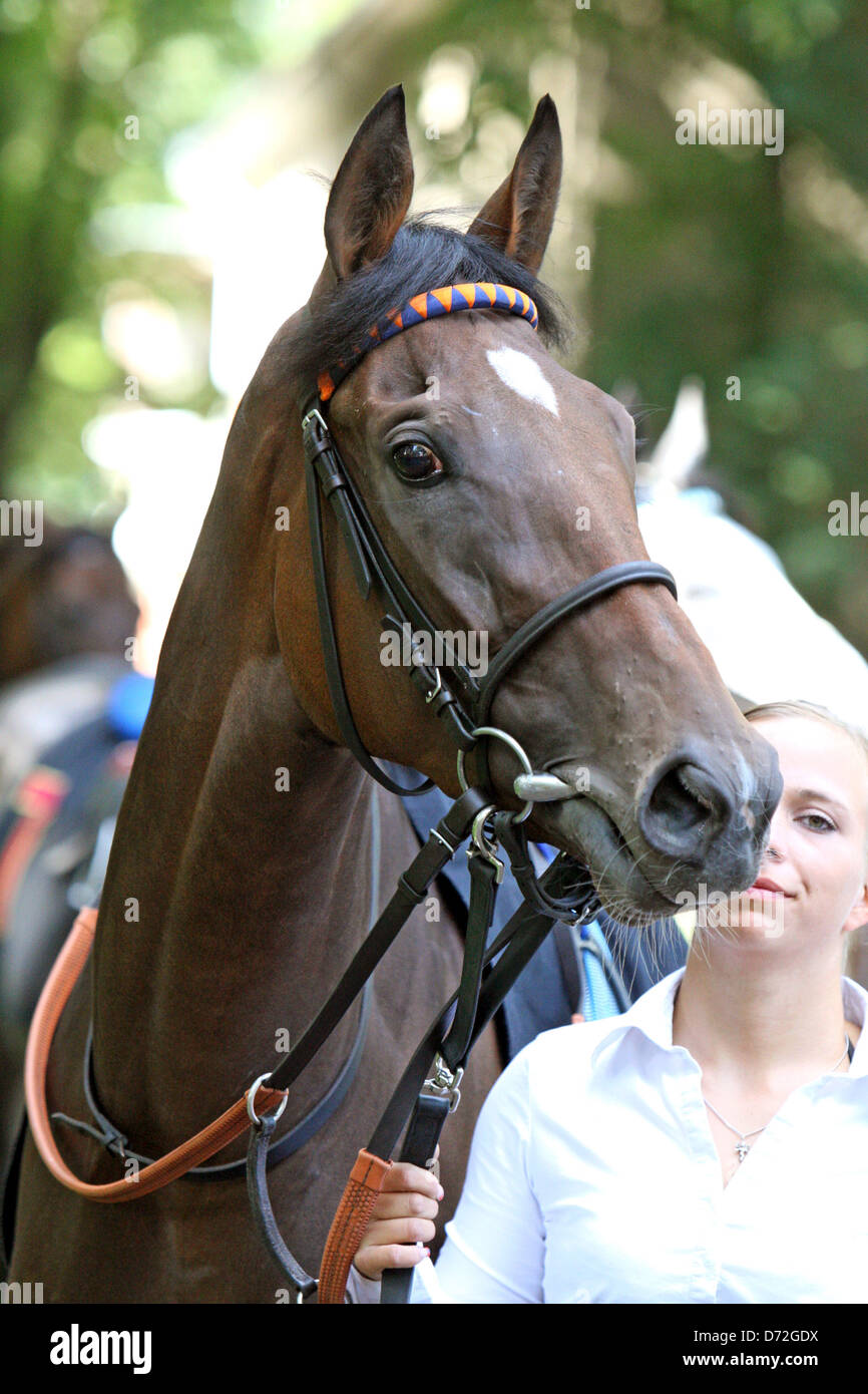 Galloping racehorse hi-res stock photography and images - Alamy