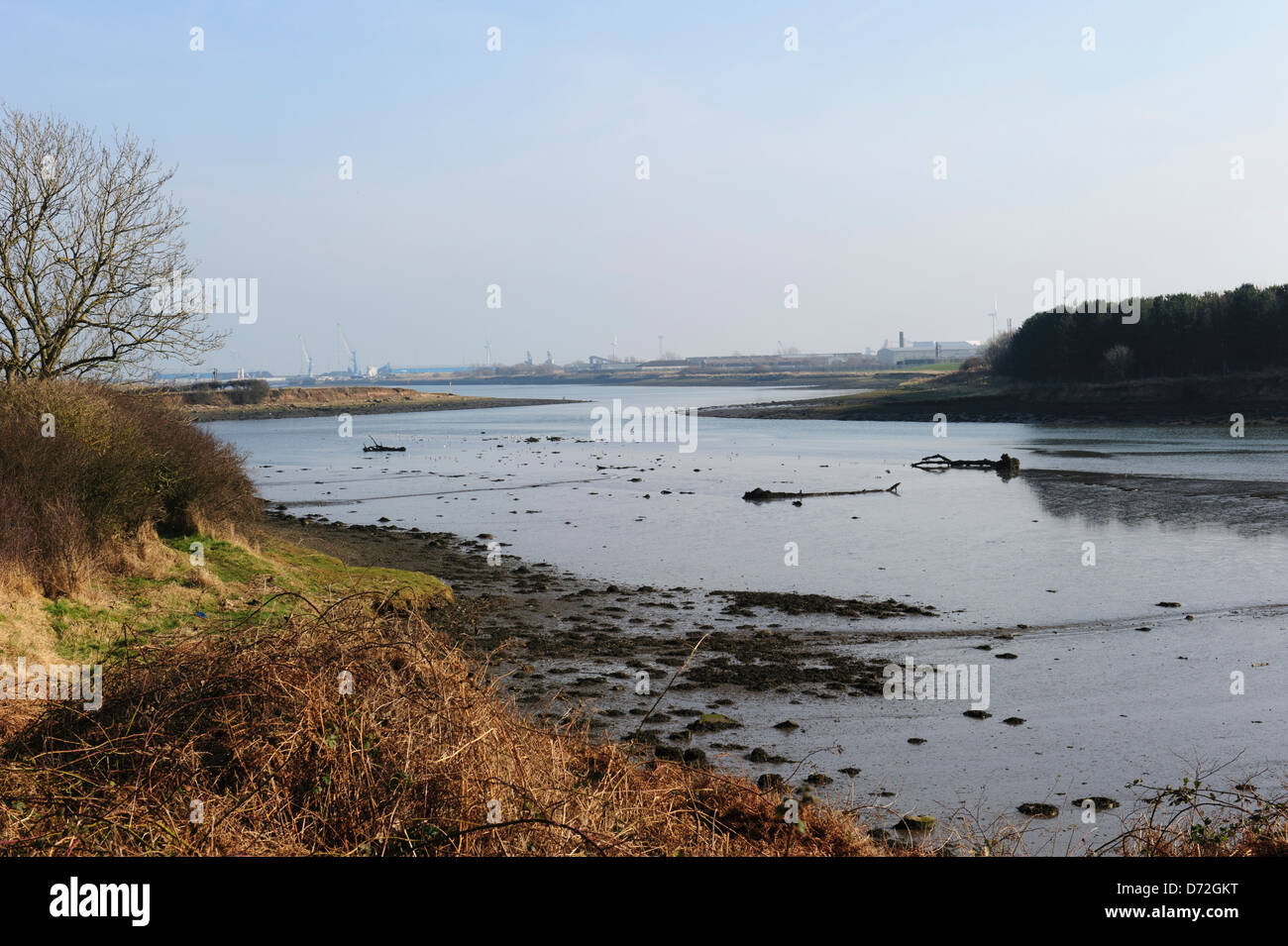 River Blyth with mud flats Stock Photo - Alamy