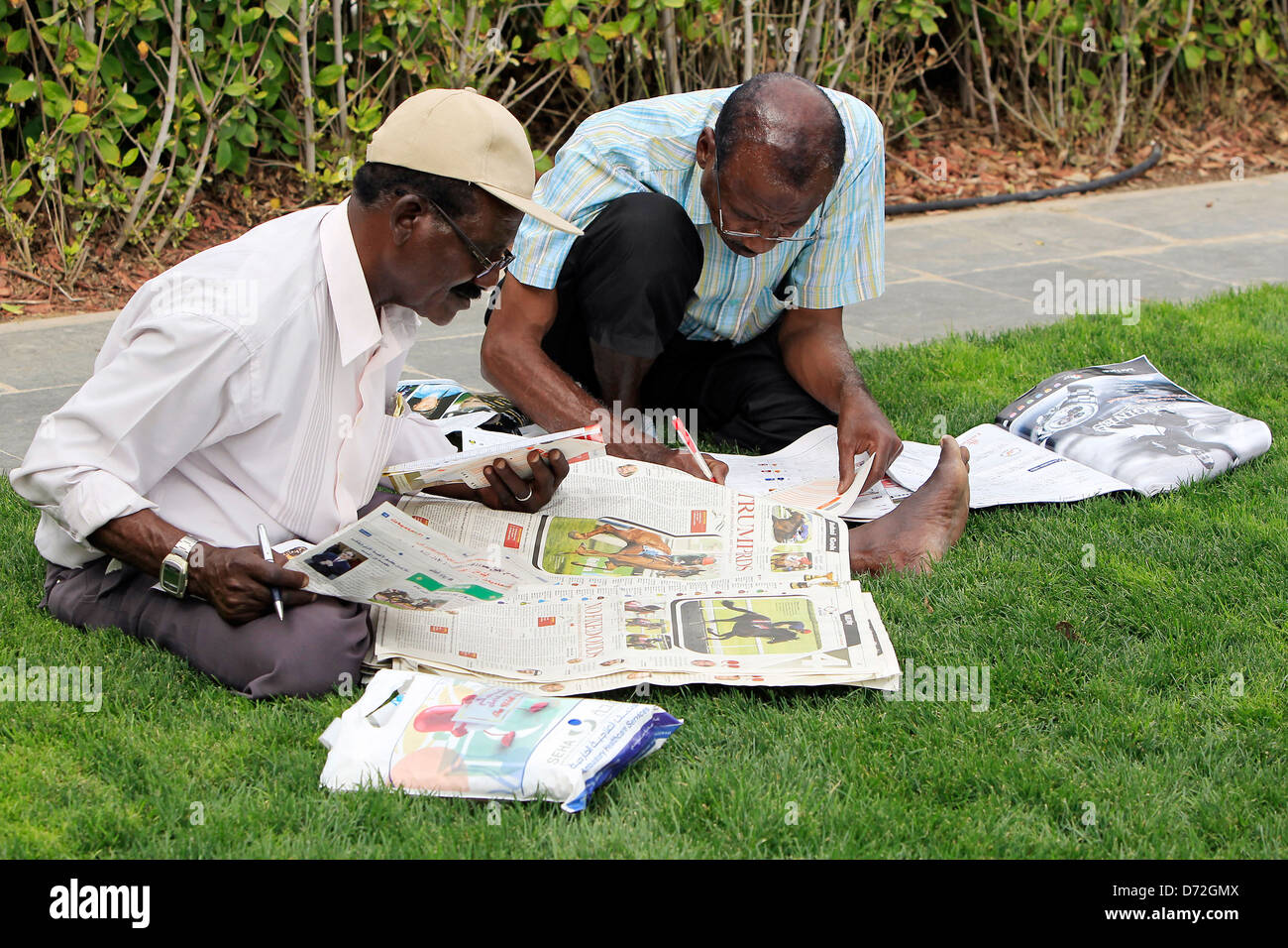 Dubai, United Arab Emirates, men study the racing paper Stock Photo - Alamy