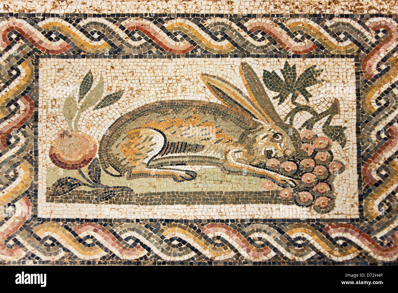 Mosaic roman rabbit hi-res stock photography and images - Alamy