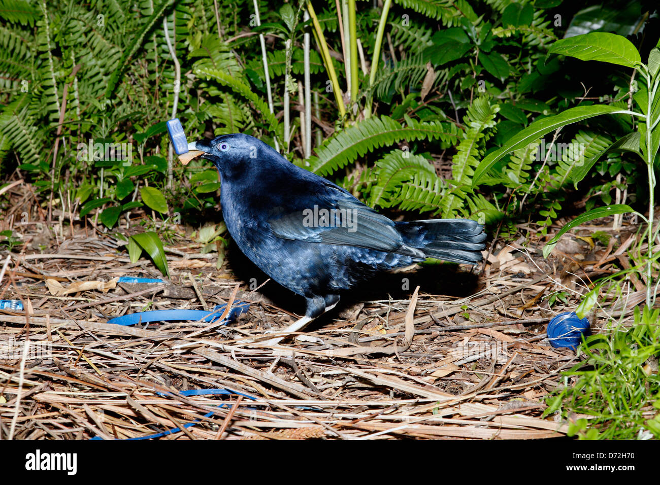Blue objects hi-res stock photography and images - Alamy