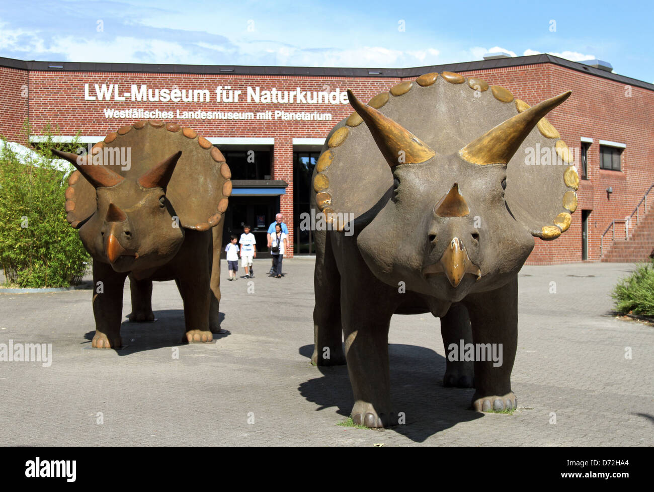 Muenster, Germany, the LWL Museum of Natural History Stock Photo - Alamy