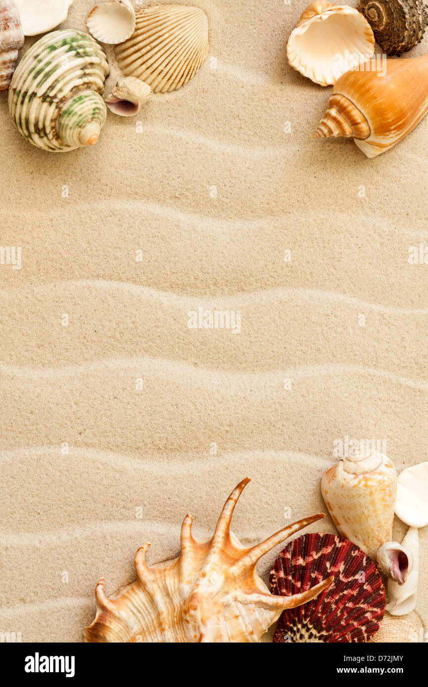 sea shells with sand as background Stock Photo - Alamy