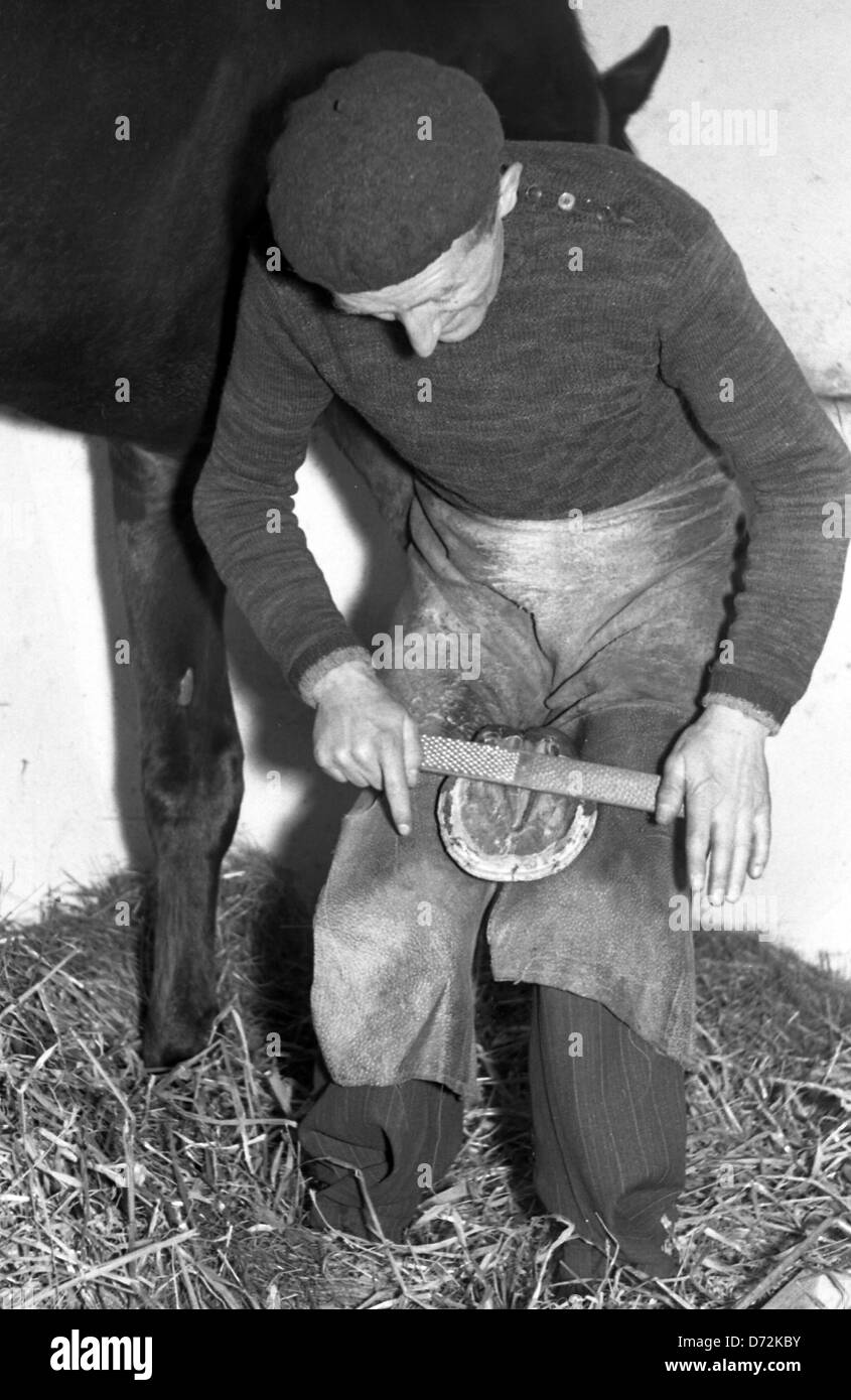 Filed horn hi-res stock photography and images - Alamy