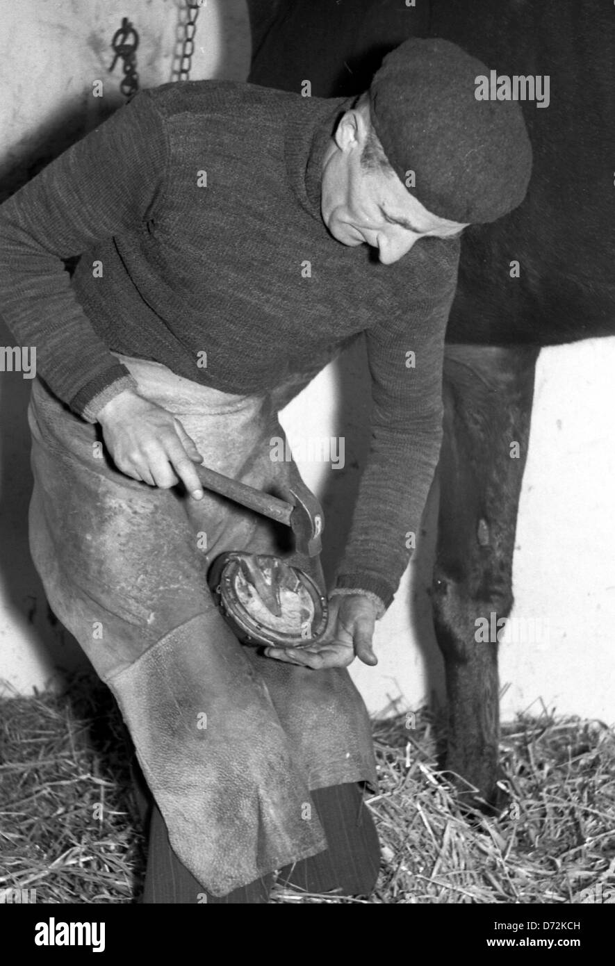 S box Black and White Stock Photos & Images - Alamy