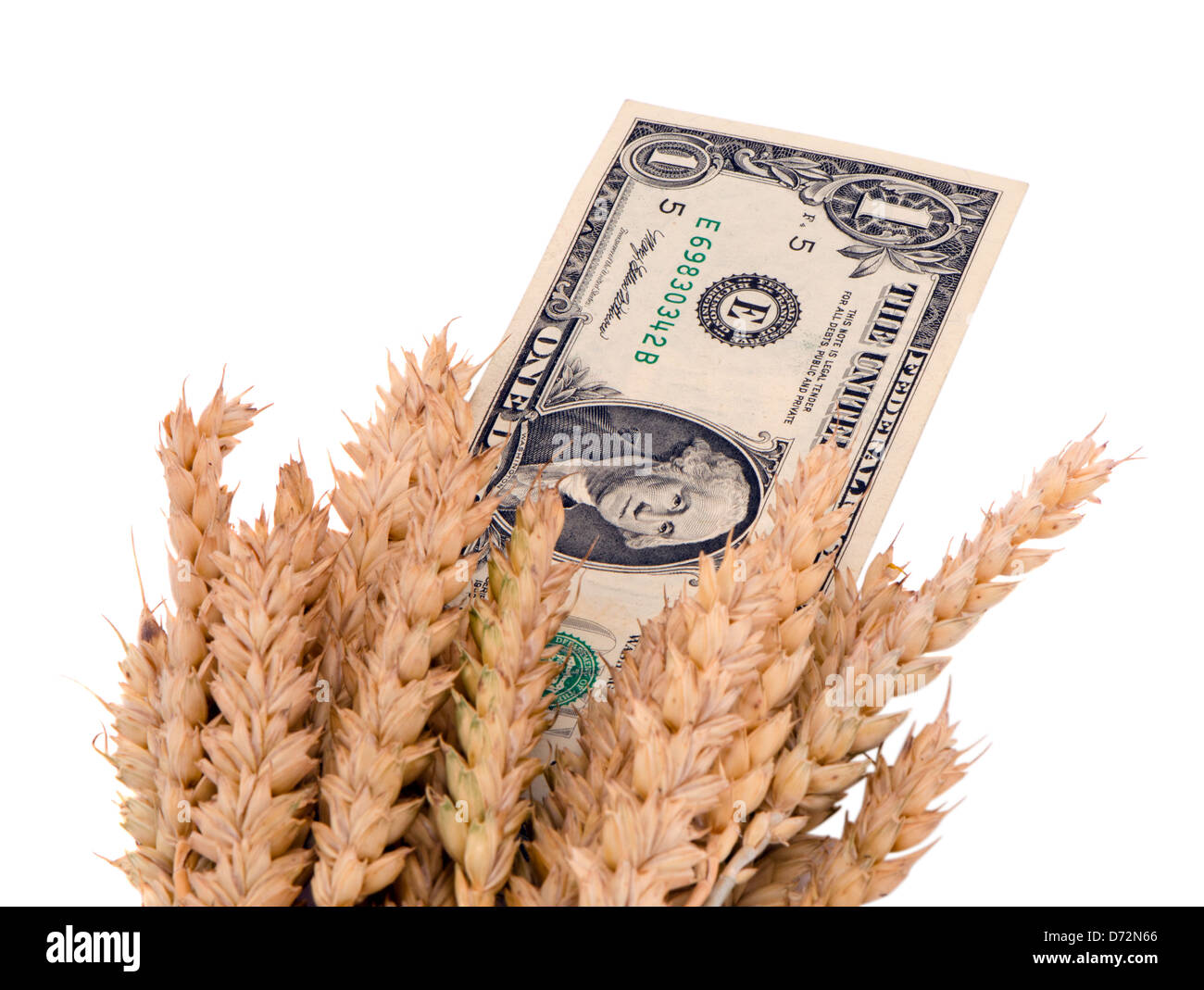 wheat ripe ears on usa usd dollar cash banknotes isolated on white ...