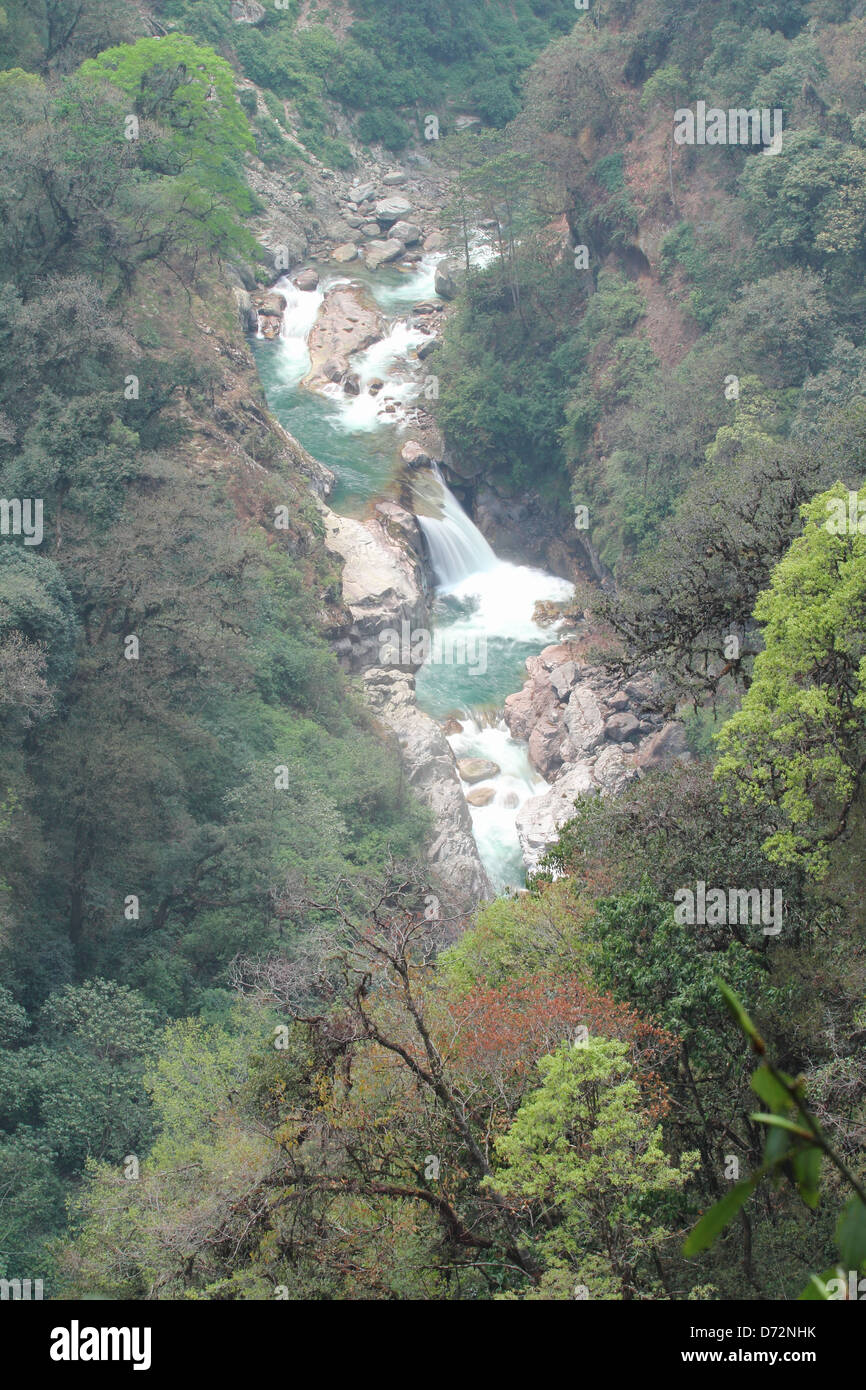 waterfall center forests Stock Photo - Alamy