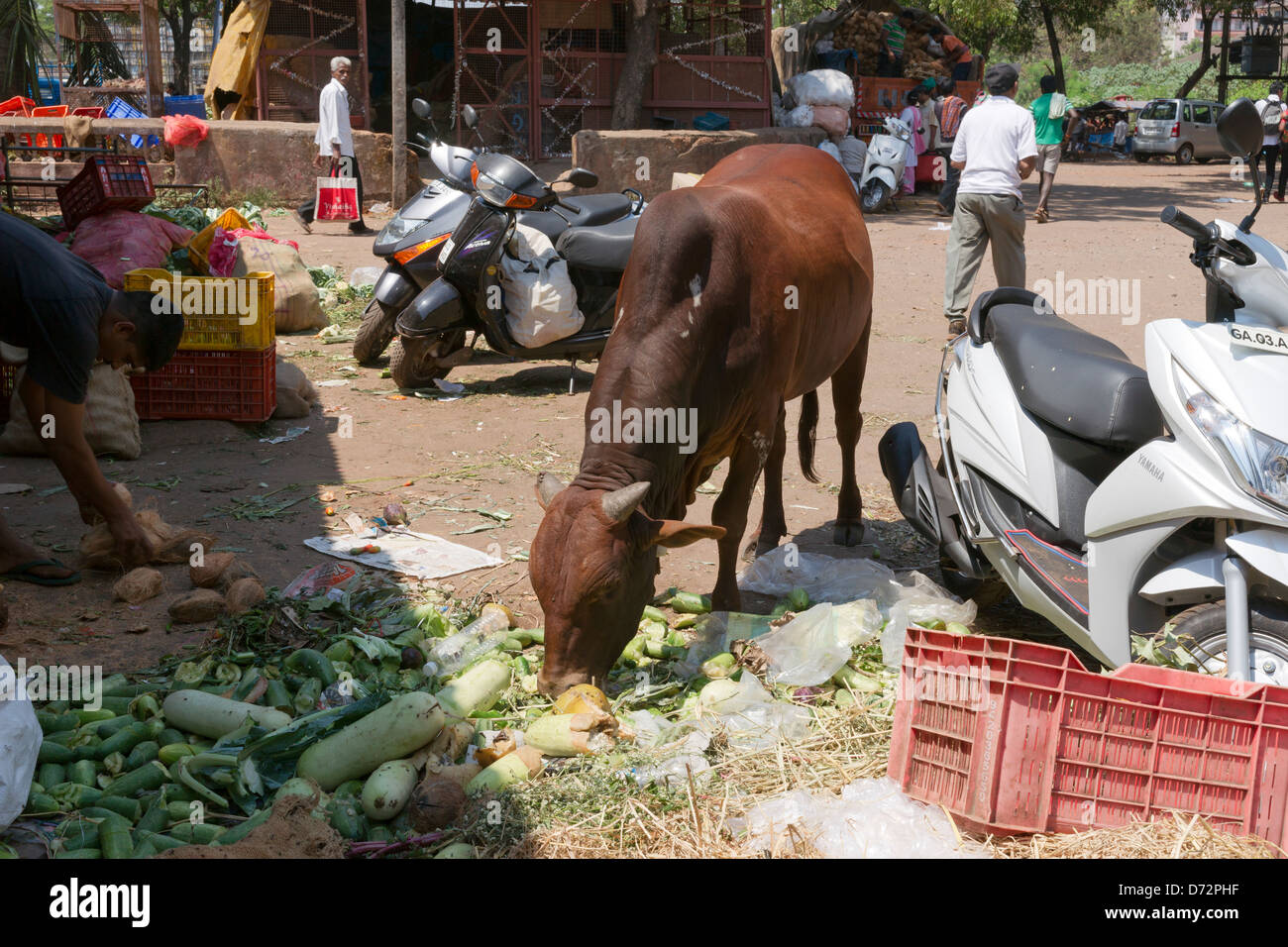 Mapusa in North Goa Stock Photo - Alamy
