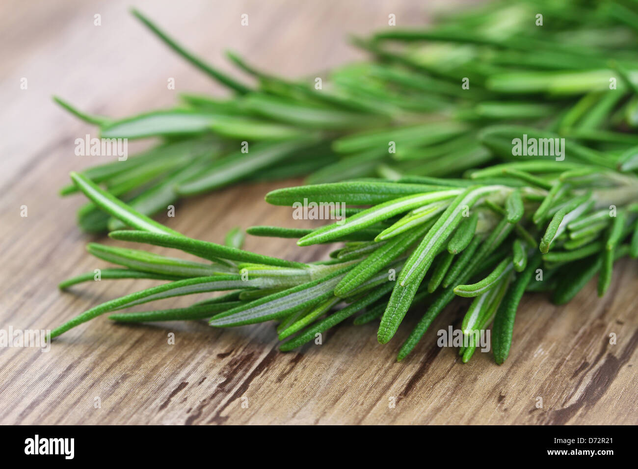 Rosemary stem hi-res stock photography and images - Alamy