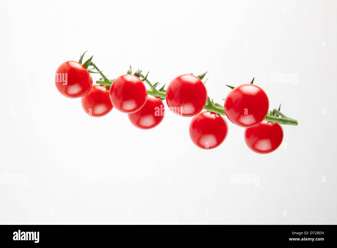 Baby tomatoes hi-res stock photography and images - Alamy