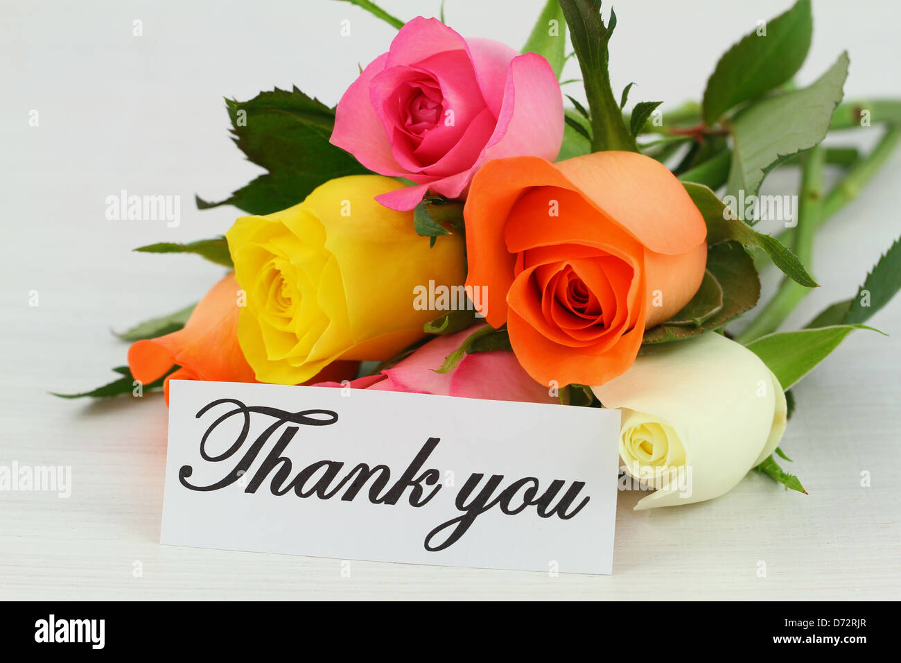 Thank you note and colorful bouquet of roses Stock Photo - Alamy