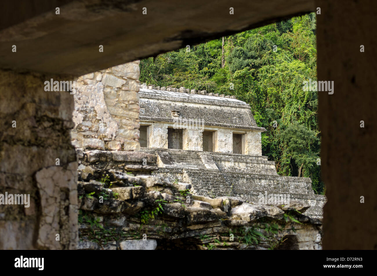 Mayan temples in the jungle at palenque in chiapas mexico hi-res stock ...