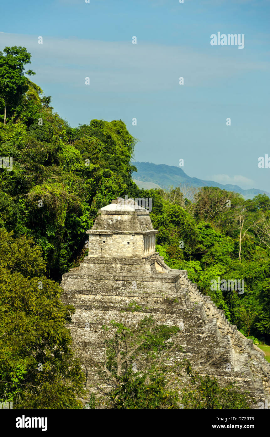 View of the Temple of the Inscriptions in Palenque, Mexico Stock Photo ...