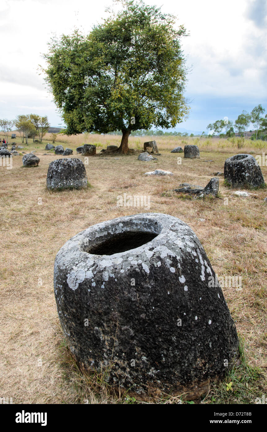 Plain Of Jars Stone Jar Site 1 Xieng Khouang Laos // PLAIN OF JARS ...