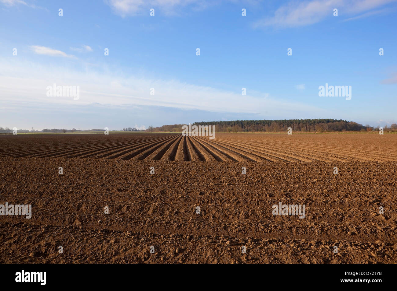Pattern and texture of bare soil in an agricultural landscape prepared ...