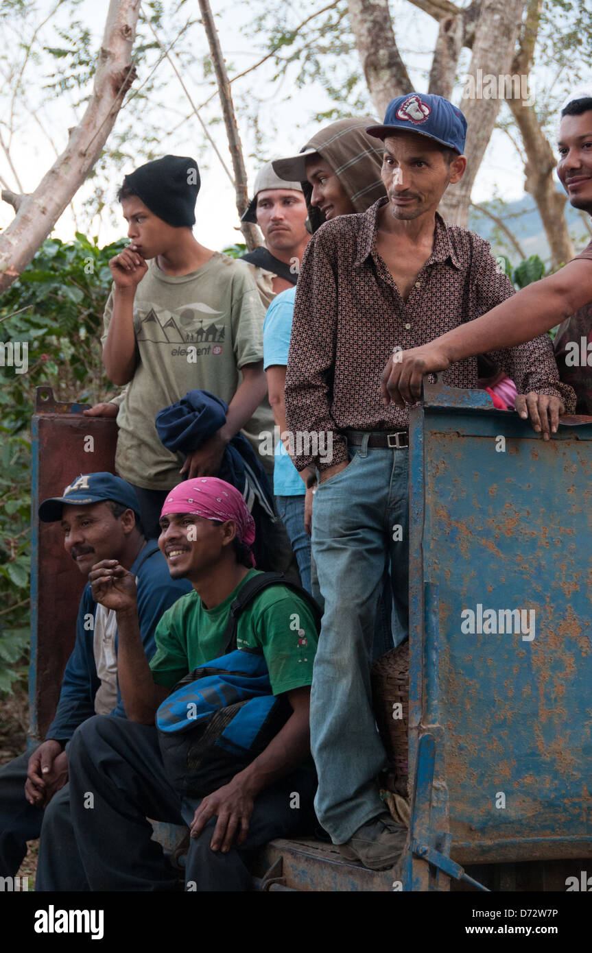 Coffee plantation workers commuting to the fields Central Valley Costa ...