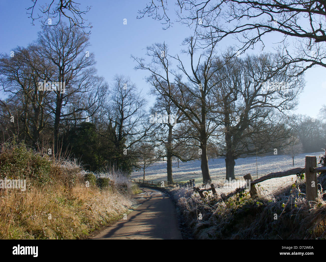 Country lane in winter frost Stock Photo - Alamy