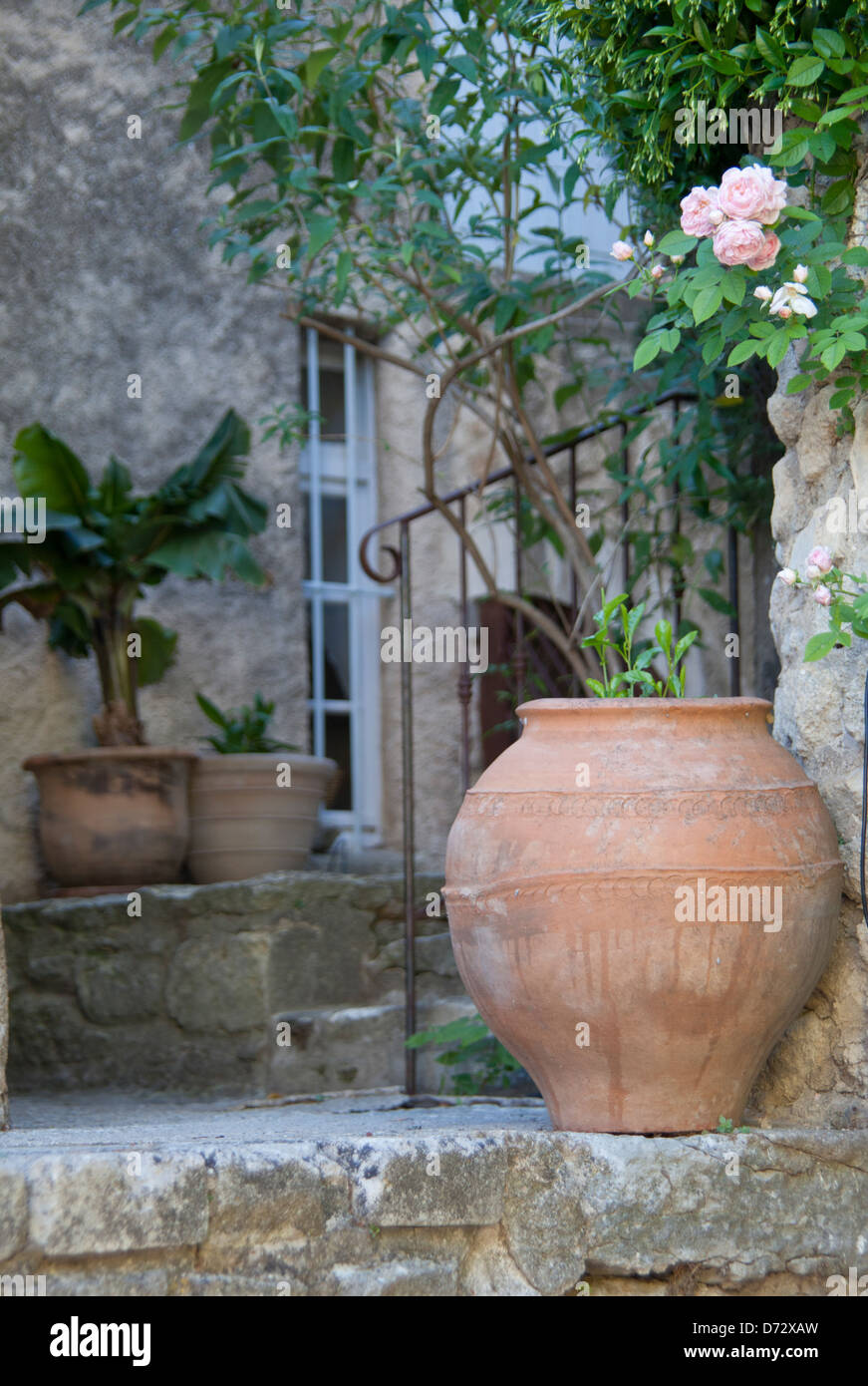 Overgrown courtyard hi-res stock photography and images - Alamy
