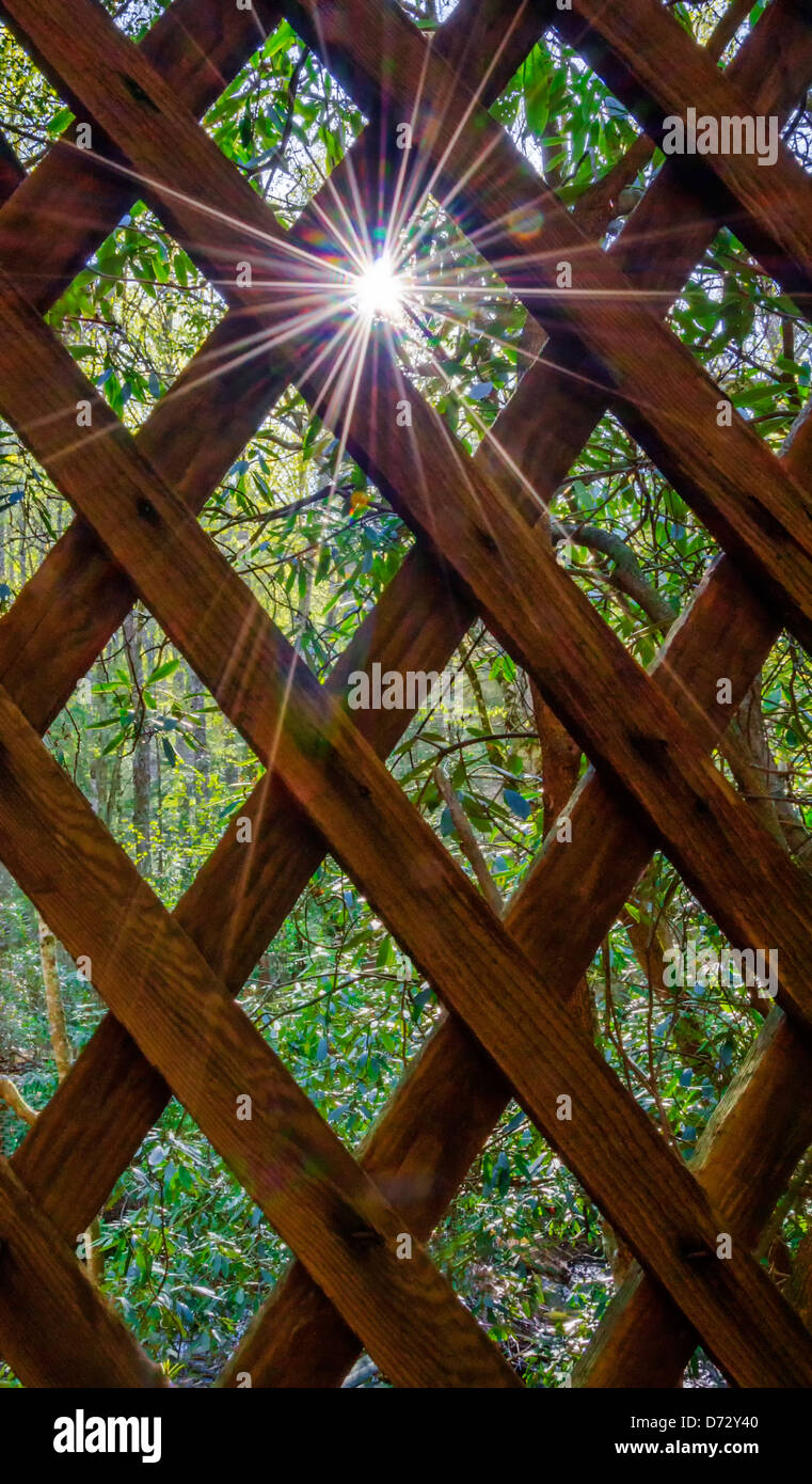 Wooden rays hi-res stock photography and images - Alamy