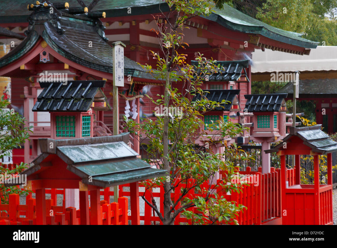 Nagata shrine hi-res stock photography and images - Alamy