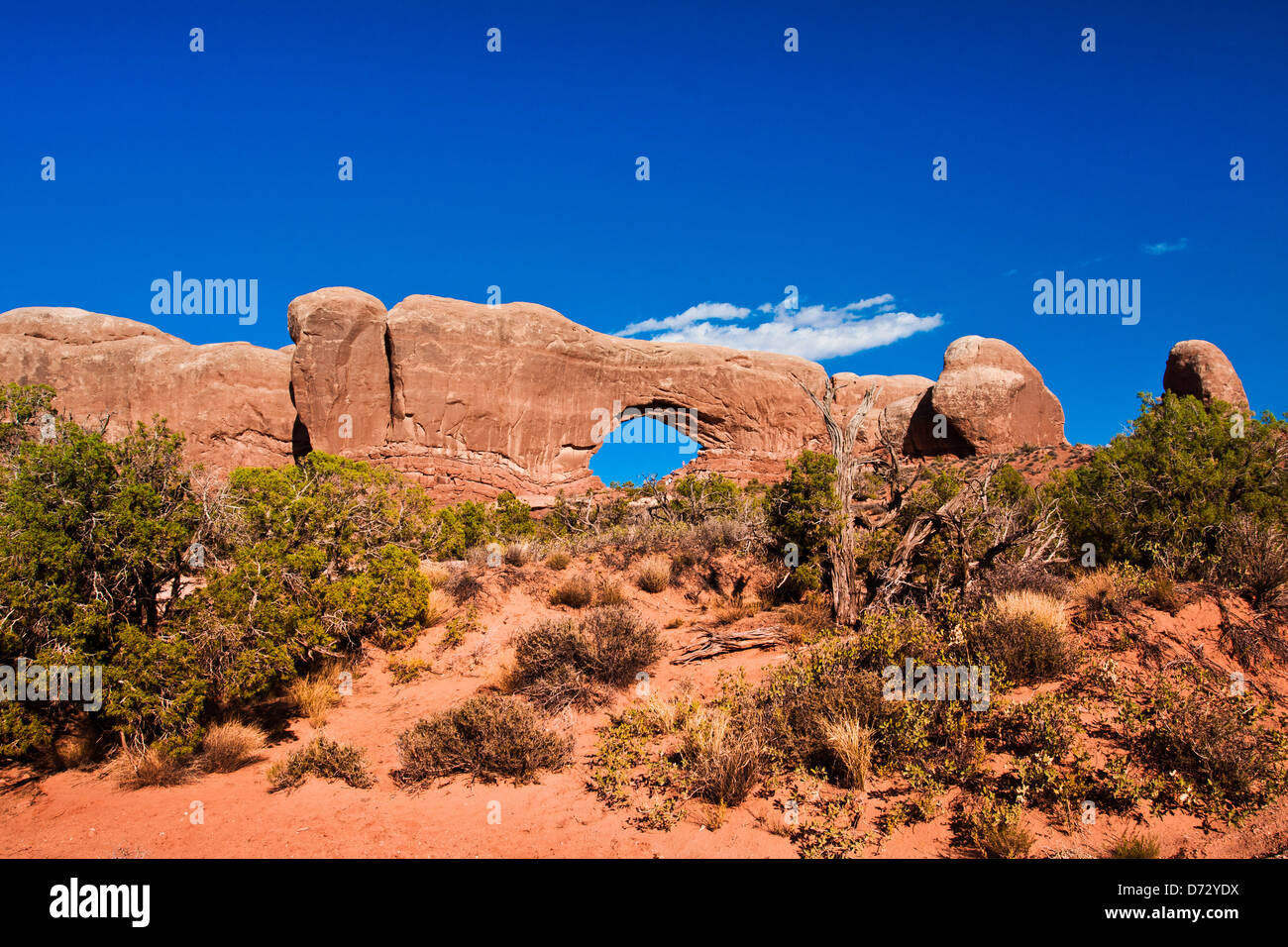 Window Arch in Arches National Park,Utah,United States Stock Photo - Alamy