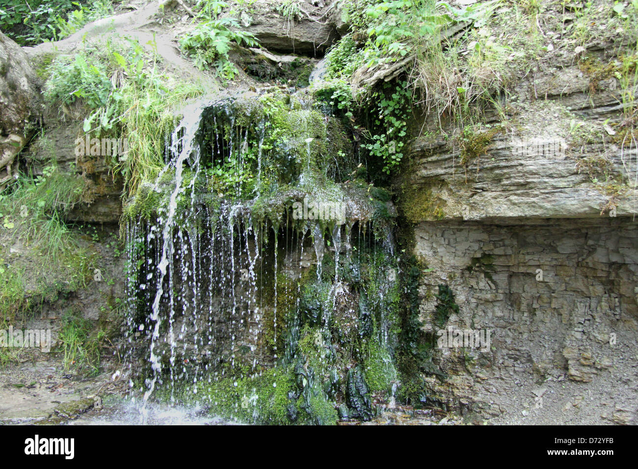 Water dripping from top hi-res stock photography and images - Alamy