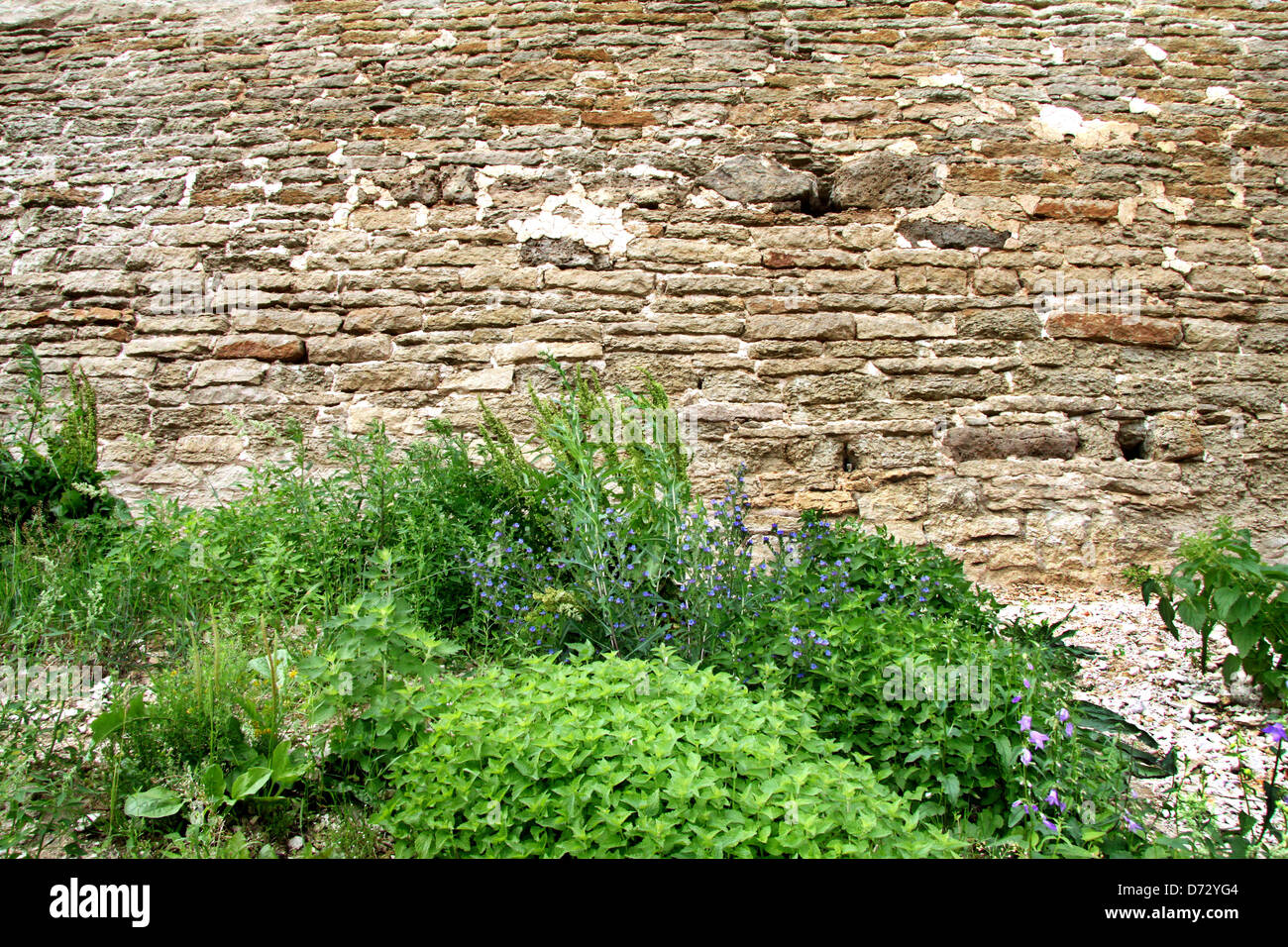 Tower big stone wall hi-res stock photography and images - Alamy