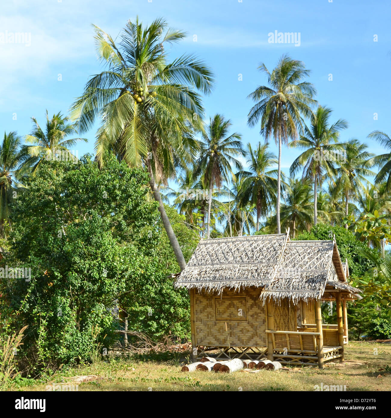 Bamboo house hi-res stock photography and images - Alamy