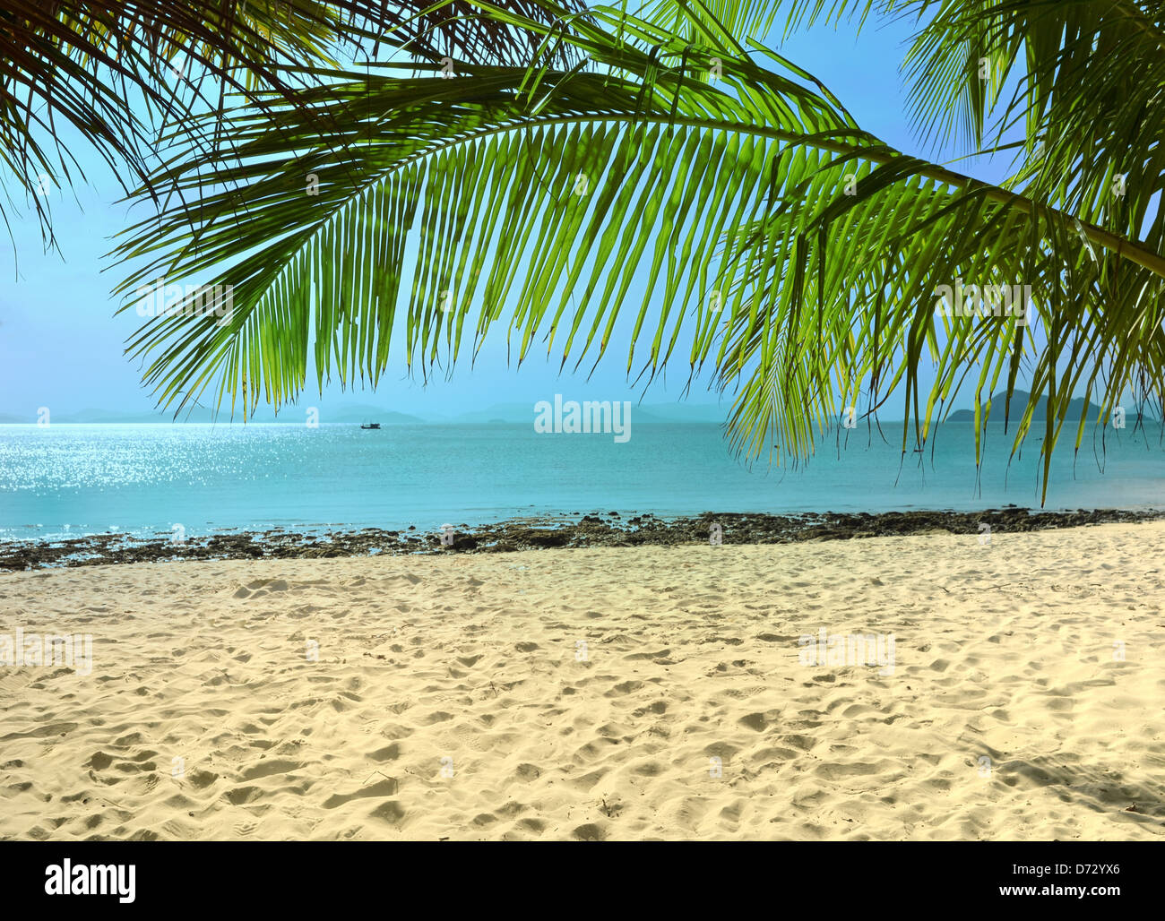Panorama of tropical beach with palm Stock Photo - Alamy