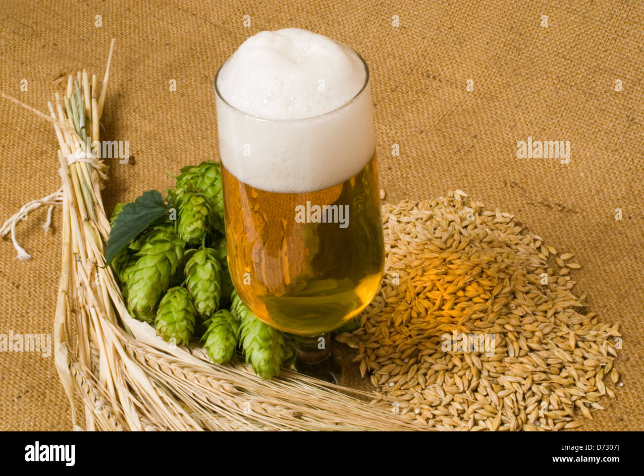 Beer brewing overhead hi-res stock photography and images - Alamy
