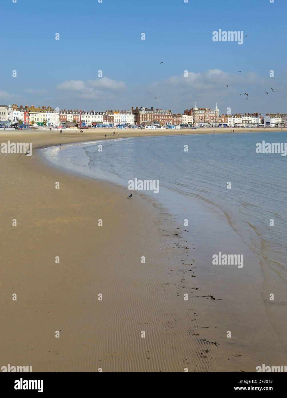 The seafront beach weymouth hi-res stock photography and images - Alamy