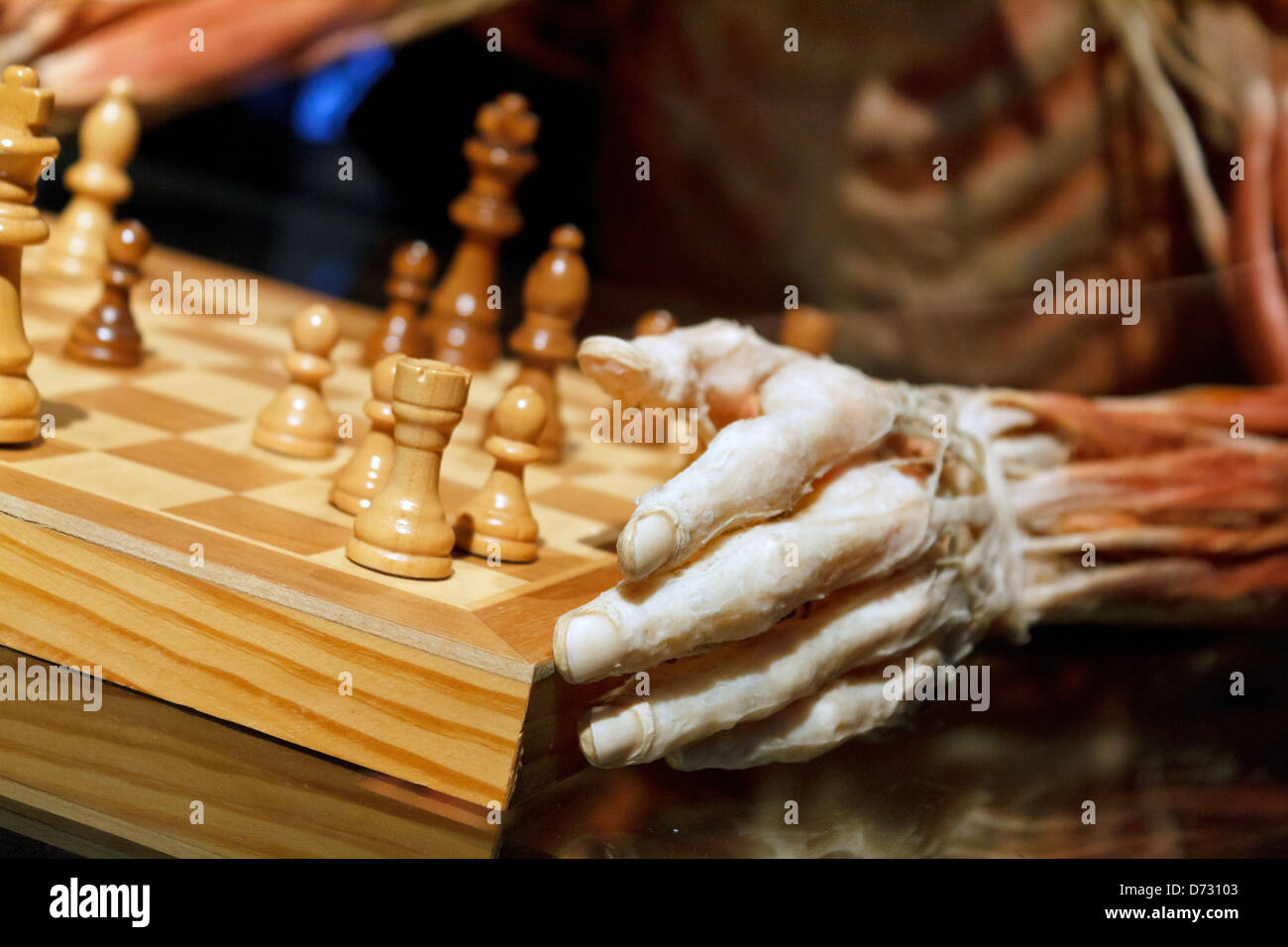 Play chess with death hi-res stock photography and images - Alamy