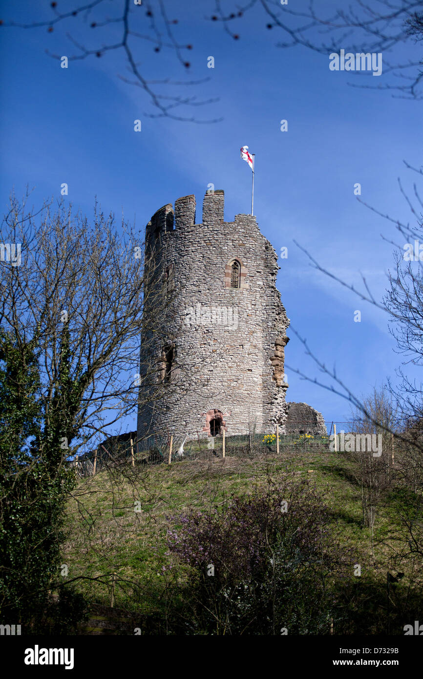Dudley castle hi-res stock photography and images - Alamy