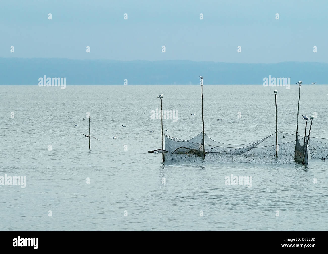 fishing nets in the sea Stock Photo - Alamy