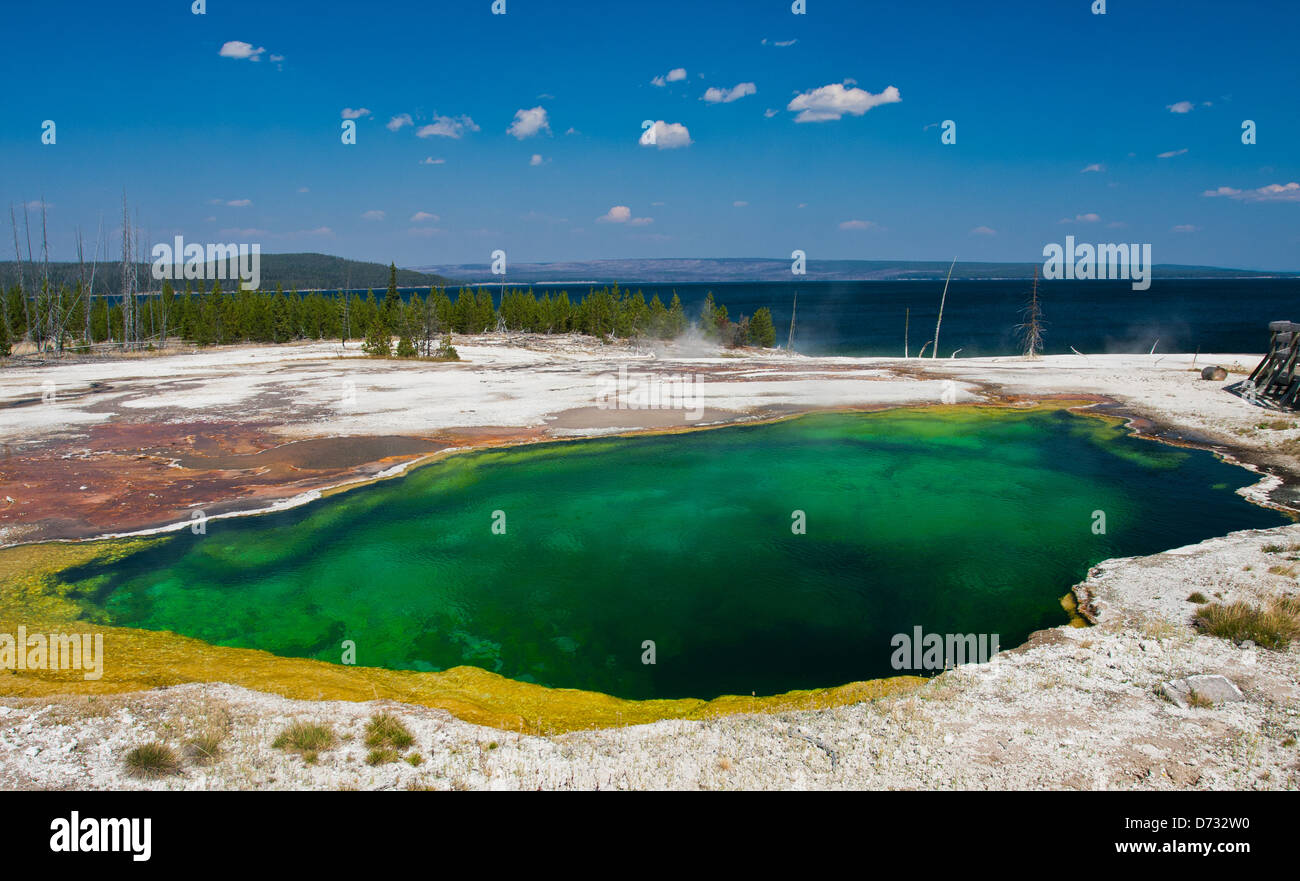Beautiful Geyser in Yellowstone National Park Stock Photo - Alamy