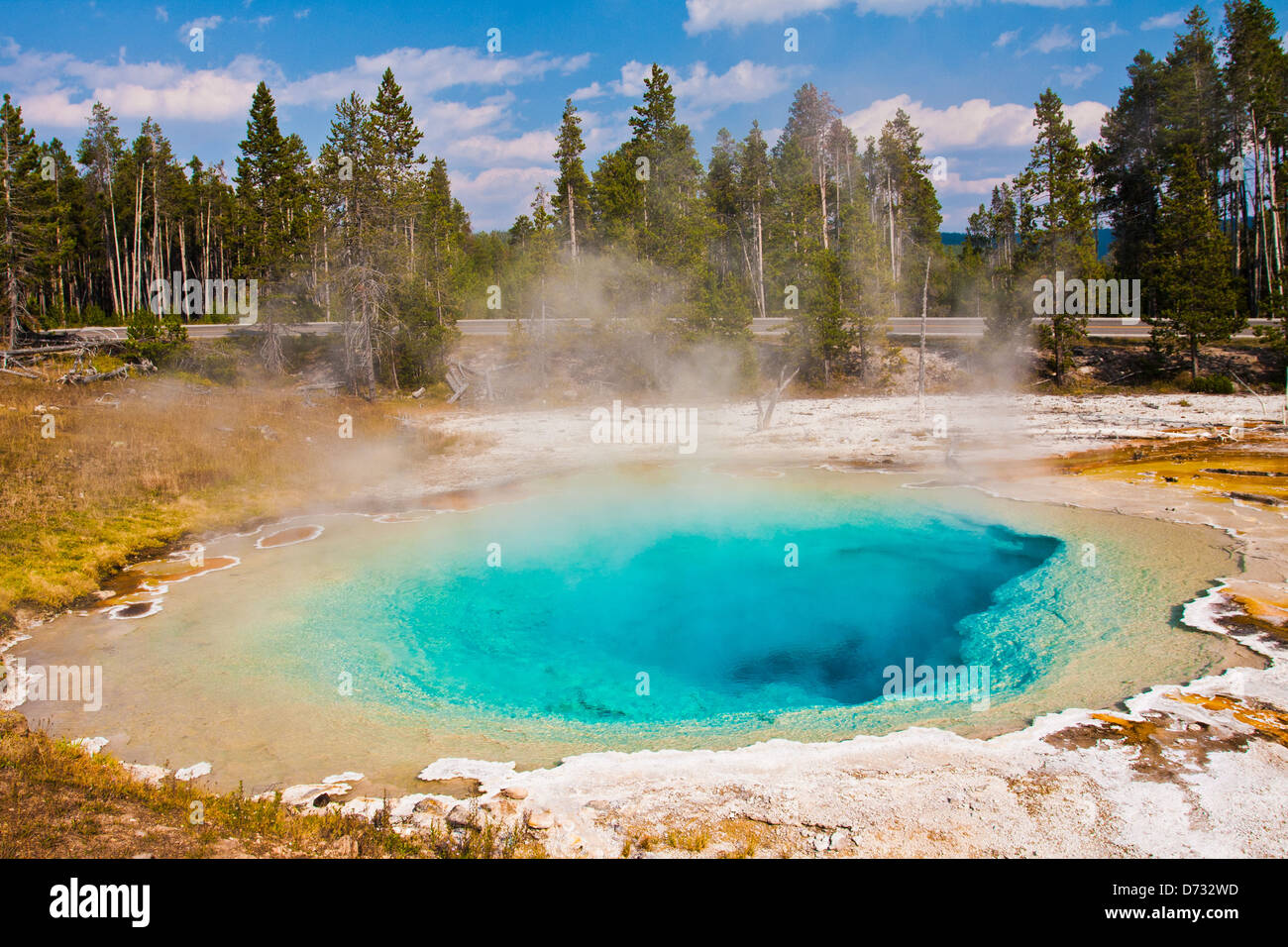 Beautiful Geyser in Yellowstone National Park Stock Photo - Alamy