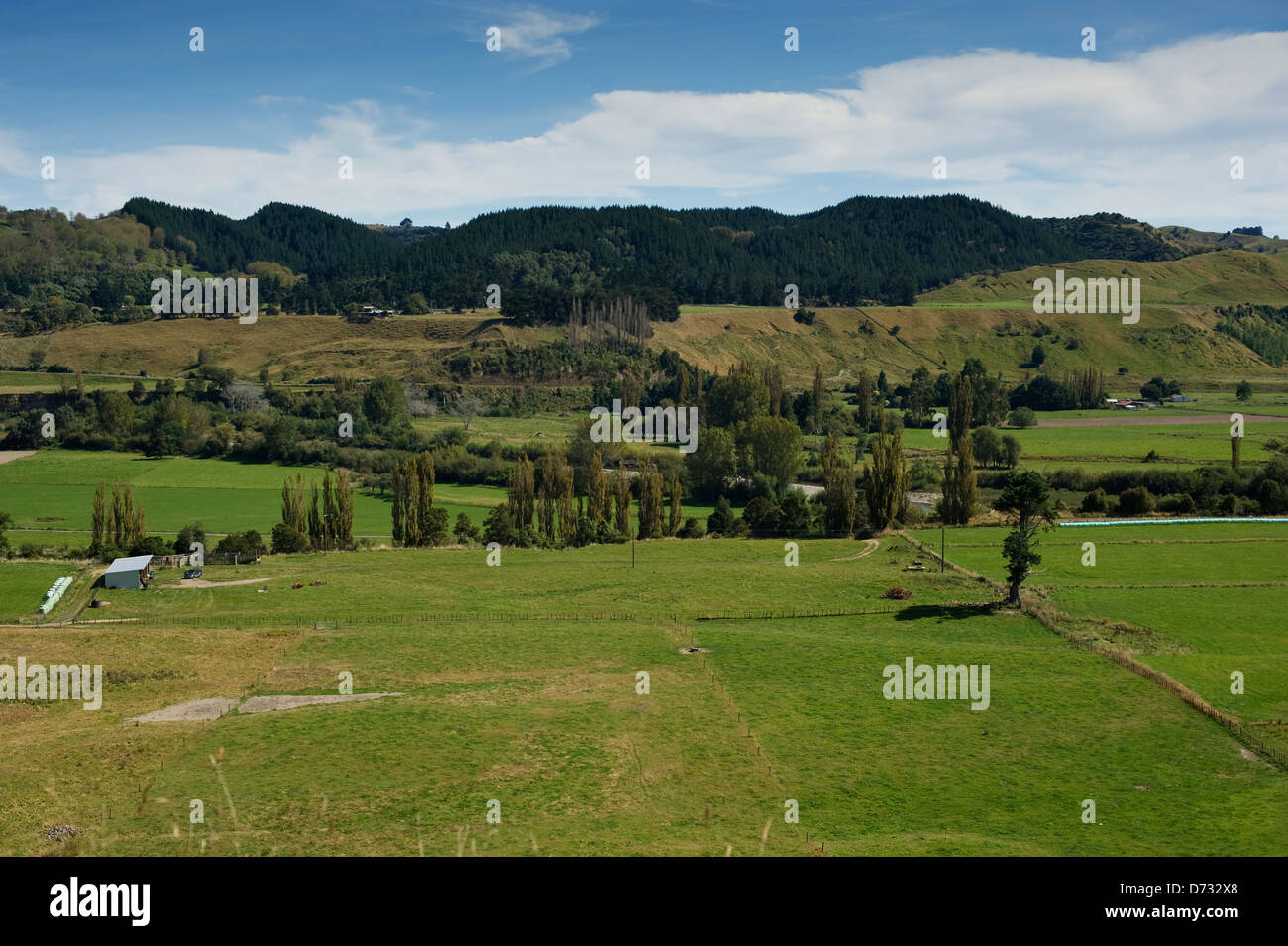 New Zealand rural scene Stock Photo - Alamy