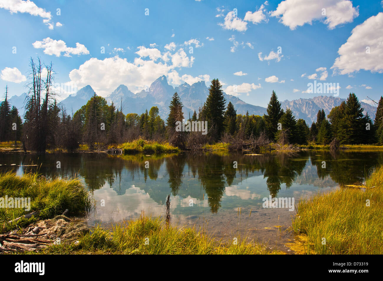 Beautiful Teton Reflection in Grand Teton National Park,USA Stock Photo - Alamy