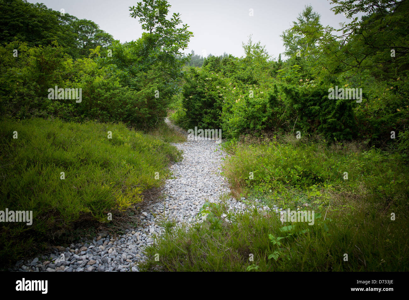 Flint fields hi-res stock photography and images - Alamy