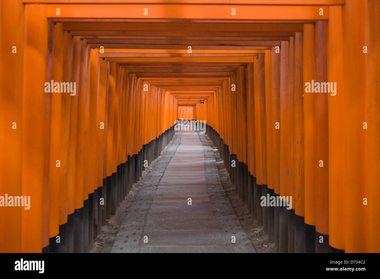 Columned Walkway High Resolution Stock Photography and Images - Alamy
