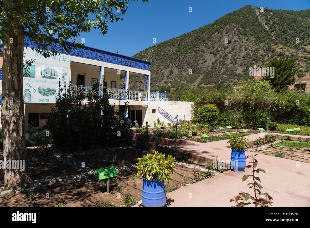 Morocco, Marrakesh - Aromontagne herb farm, Ourika valley Stock Photo ...