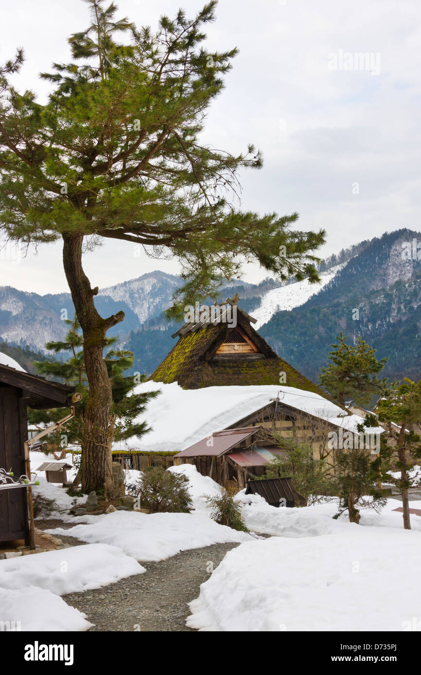 Traditional thatched roof house in the mountain covered by snow, Miyama ...