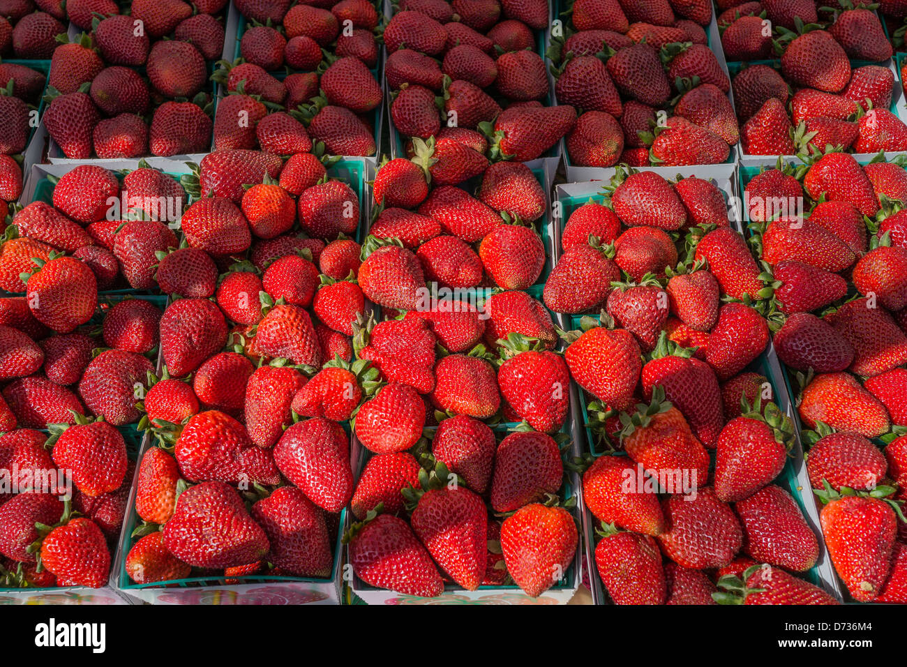 Cartons of strawberries on display for sale at the farmer's market in ...