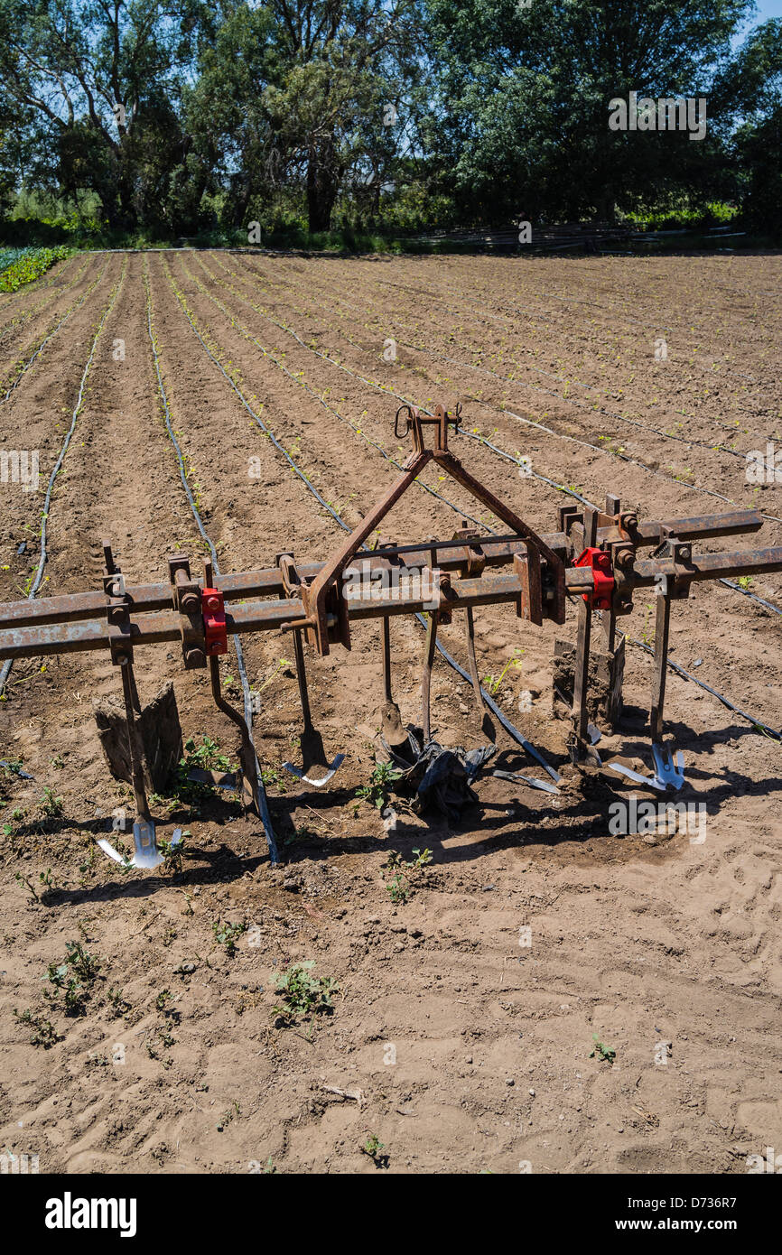 A plow used on a field stands in front of the freshly plowed land in ...